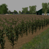 Maize Texture mod V 1.0 - Mod Download