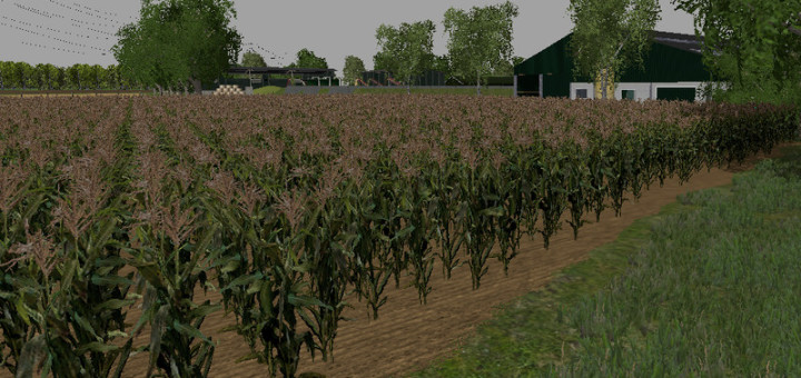 Maize Texture - Farming simulator 19 / 17 / 15 Mods