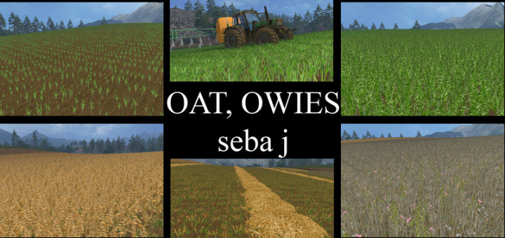 FS15 New grass texture V 5 - FS 15 Textures Mod Download