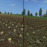 FS17 Forgotten Plants - Sugerbeet / Potatoes V 1.0 - FS 17 Textures Mod ...