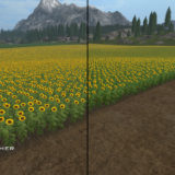 FS17 Forgotten Plants - Sunflowers V 1.0 - Mod Download