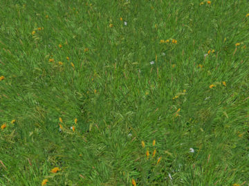 FS15 New grass texture V 5 (10) - Farming simulator 19 / 17 / 15 Mod