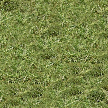 FS17 Real Grass Hay straw V 1.0 - FS 17 Textures Mod Download