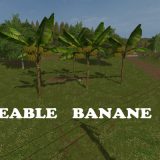 FS17 Placeable Banana Tree V 1 - FS 17 Placeable objects Mod Download