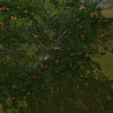 FS17 Placeable Fruit Trees - FS 17 Placeable objects Mod Download