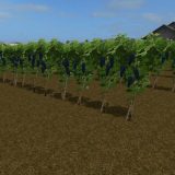 FS17 Grape Farm Placeable V 1 - FS 17 Placeable objects Mod Download