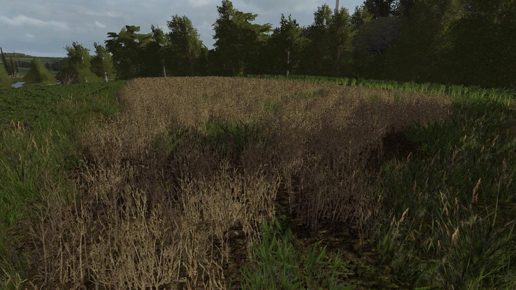 FS17 LUPINE TEXTURE V1.0 - FS 17 Textures Mod Download