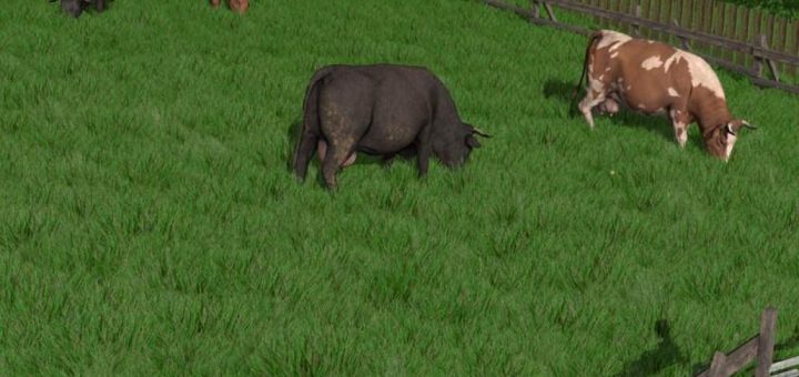 Farming Simulator 2017 Textures mods | FS 17 Textures | LS 17 Textures