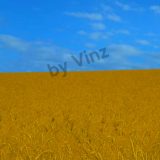 FS17 Photo Realistic Graphic Mod V 3.0 - FS 17 Other Mod Download