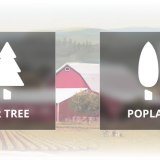 FS19 New Crops & Weed Control - Farming Simulator 19 Mods Mod Download