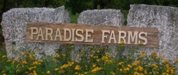 FS19 Paradise Farms v1.0.0.2 - FS 19 Maps Mod Download