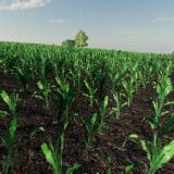 FS19 US Map Final - FS 19 Maps Mod Download