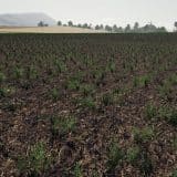 FS19 US Map Final - FS 19 Maps Mod Download