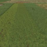 FS19 GRASS TEXTURE V1.0.0.0 - FS 19 Textures Mod Download