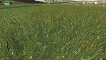 FS19 GRASS TEXTURE V1.0.0.0 - FS 19 Textures Mod Download