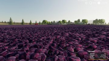 FS19 KIWI FARM STARTER MAP 4X MULTI FRUIT v3 (8) - Farming simulator 19 ...