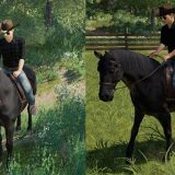 FS19 Cowboy Hat v1.0.0.1 - FS 19 Other Mod Download
