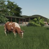 FS19 PeterVill Farm v1.0.0.0 - FS 19 Maps Mod Download