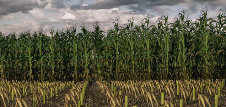 FS19 Ground textures 30" V3 - FS 19 Textures Mod Download