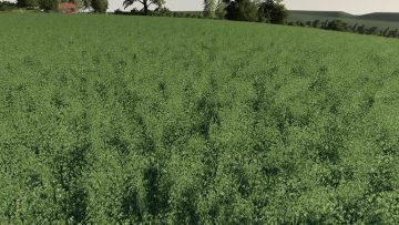 FS19 Realistic Cereal and Canola Crop Densities v1 (5) - Farming ...
