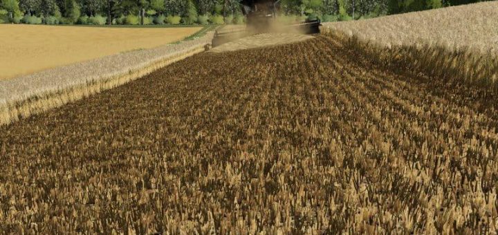 FS19 ULTRA HD GROUND TERRAIN TEXTURES v1.0 - FS 19 Textures Mod Download