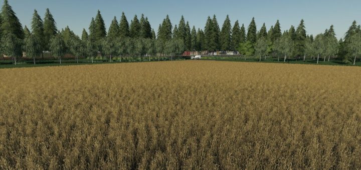 FS19 MET Map v1.0.0.0 - FS 19 Maps Mod Download