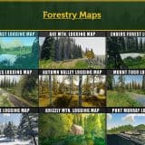 FS19 FDR Logging Mods Pack FEB - 2021 v1.0 - FS 19 Maps Mod Download