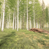 FS19 Forest Machine Map v1 - FS 19 Maps Mod Download