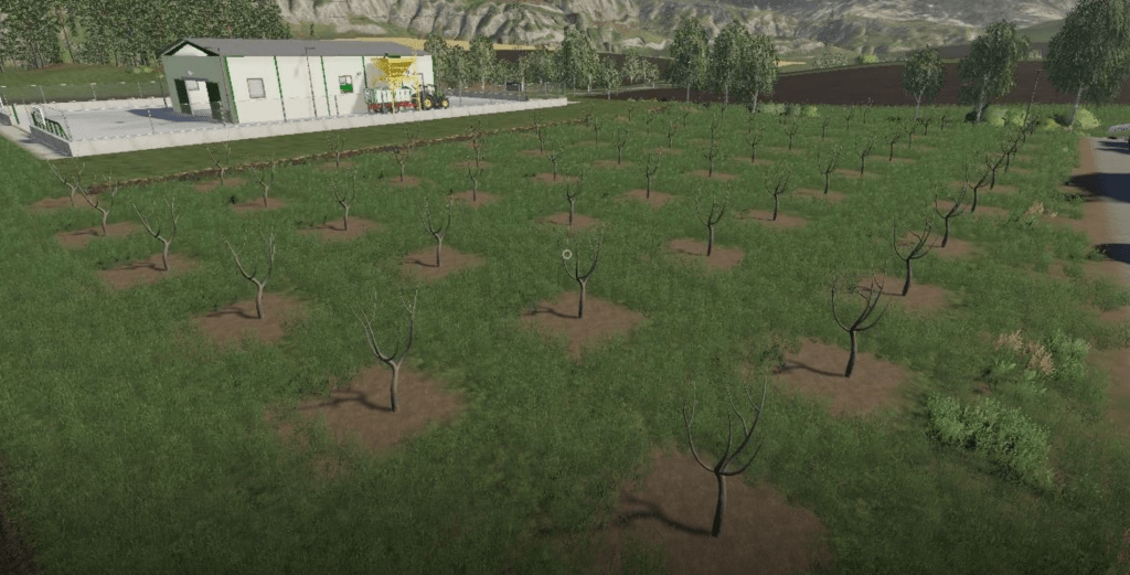 FS19 PACK OLIVE TREE v1.5.0 (10) - Farming simulator 19 / 17 / 15 Mod
