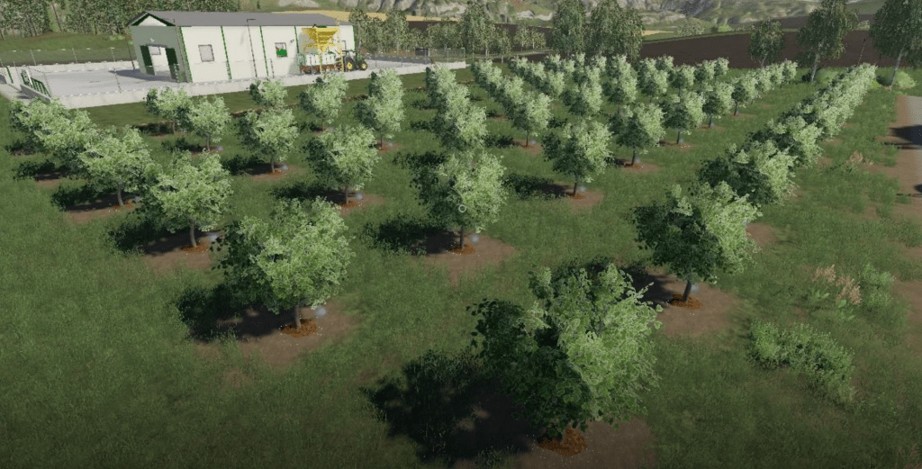 FS19 PACK OLIVE TREE v1.5.0 (4) - Farming simulator 19 / 17 / 15 Mod
