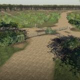 FS19 Wanganella Map v1.0 - FS 19 Maps Mod Download