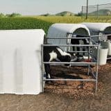 FS19 Calf hut v1.0 - FS 19 Objects Mod Download