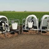FS19 Calf hut v1.0 - FS 19 Objects Mod Download