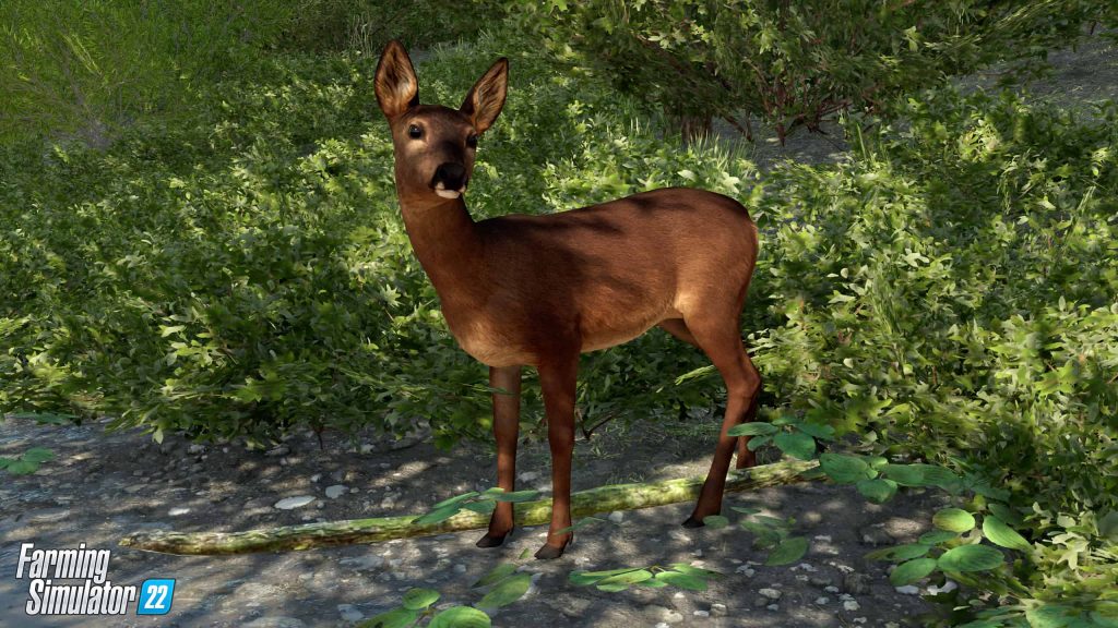 FS22: Farm Animals & Wildlife - FS 22 Objects Mod Download