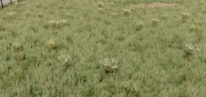 FS22 Iowa Gravel Textures v1.0 - FS 22 Textures Mod Download