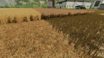 Better stubble texture v1 (3) - Farming simulator 19 / 17 / 15 Mod