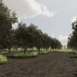 FS22 Olives + Olive Picker v1.0.1 - FS 22 Implements & Tools Mod Download