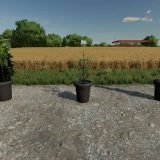 FS22 Cannabis Plants Pack v1.0 - FS 22 Objects Mod Download