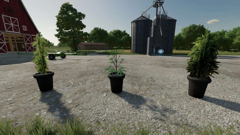 Cannabis Plants Pack v1 (7) - Farming simulator 19 / 17 / 15 Mod