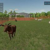 FS22 New Animals v1.0 - FS 22 Other Mod Download