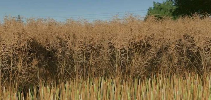 Farming Simulator 22 Textures Mods | FS22 Textures | LS22 Textures