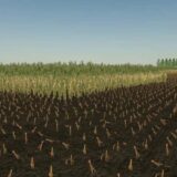 FS22 Corn maze v1.0 - FS 22 Maps Mod Download