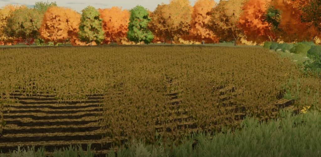 FS22 Graystone Farm (Row Crop Ready) v1.0 - FS 22 Maps Mod Download