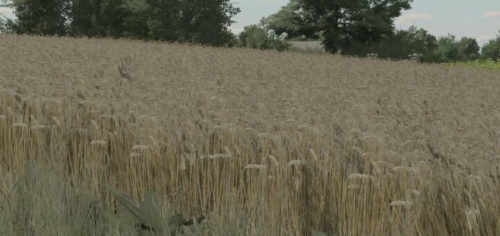 Farming Simulator 22 Textures Mods | FS22 Textures | LS22 Textures