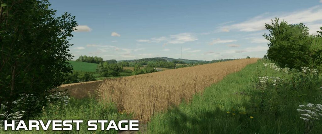 FS22 Wheat Crop Textures v1 (4) - Farming simulator 19 / 17 / 15 Mod