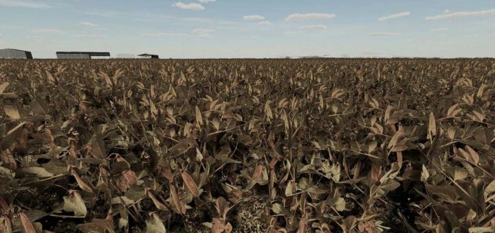 Farming Simulator 22 Textures Mods | FS22 Textures | LS22 Textures