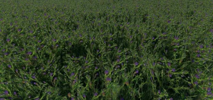 Farming Simulator 22 Textures Mods | FS22 Textures | LS22 Textures