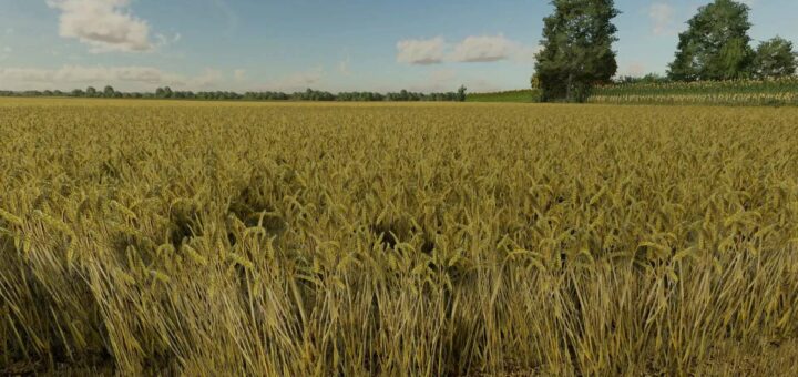 Farming Simulator 22 Textures Mods | FS22 Textures | LS22 Textures