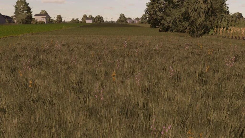 FS22 Meadow Texture v1.0 - FS 22 Textures Mod Download