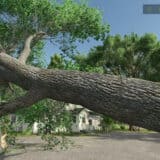 FS25 LumberJack v1.0.0.1 - FS 25 Other Mod Download